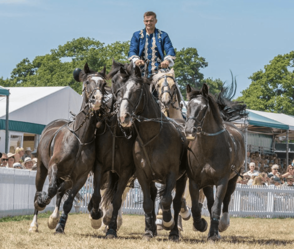 What's On - Stay New Forest